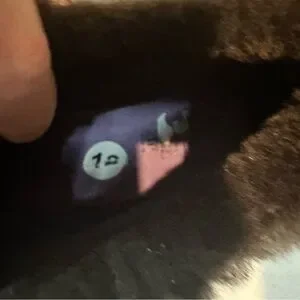 Hush Puppies | Shoes | Hush Puppies X Anna Sui Collab Deep Purple Suede ...